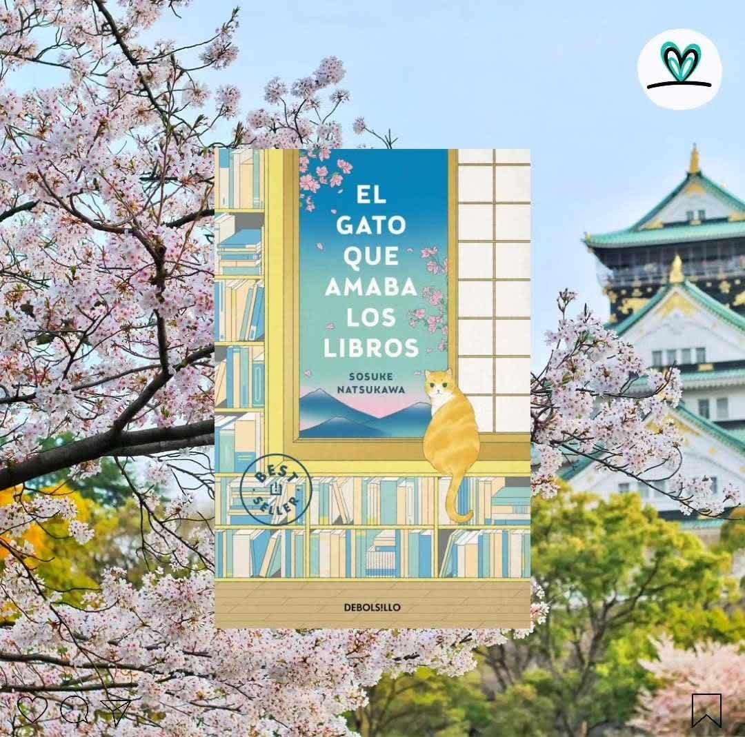 EL GATO QUE AMABA LOS LIBROS | Bookworm Los Cabos